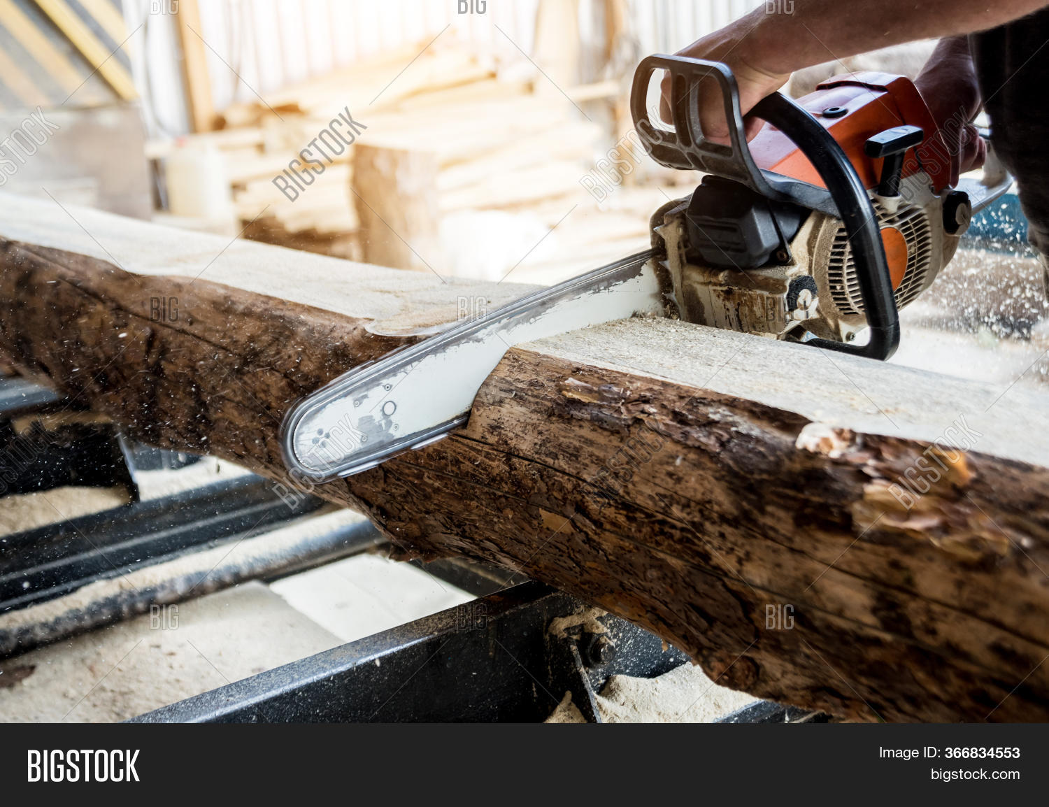 Woodcutter Cutting Image & Photo (Free Trial) | Bigstock
