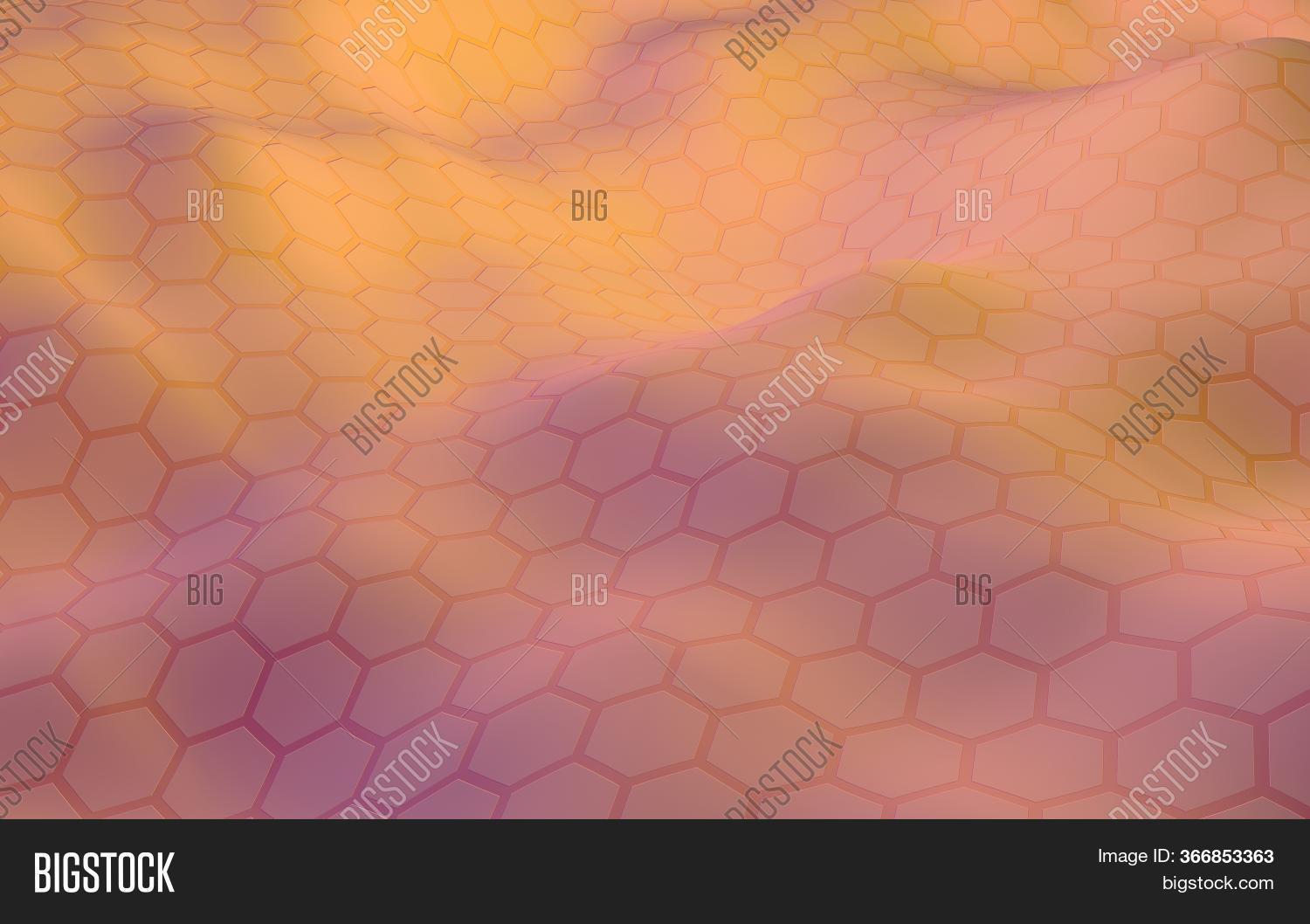 Colorful Honeycomb Image & Photo (Free Trial) | Bigstock