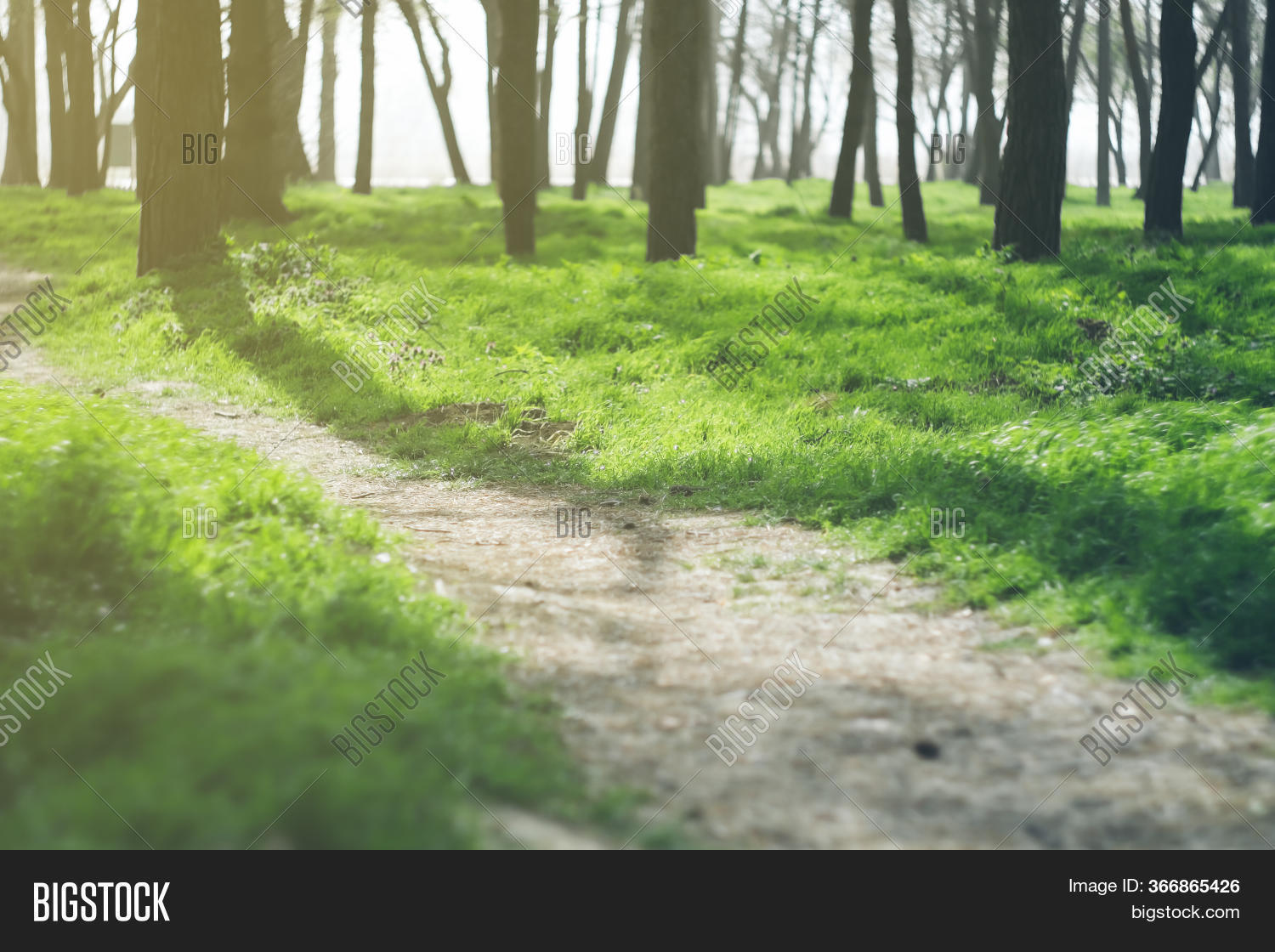 Path Running Among Image & Photo (Free Trial) | Bigstock