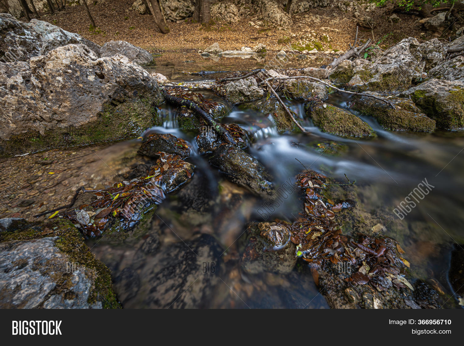 Close Small Stream Image & Photo (Free Trial) | Bigstock