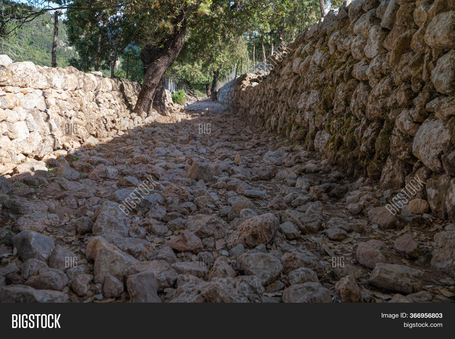 Cobblestone Path Image & Photo (Free Trial) | Bigstock
