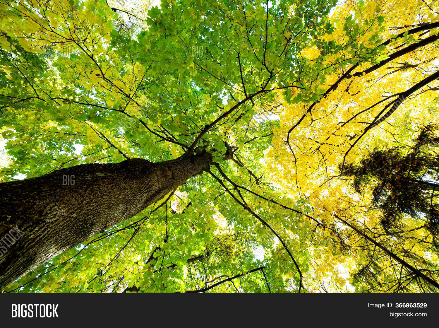 Perspective View Image & Photo (Free Trial) | Bigstock