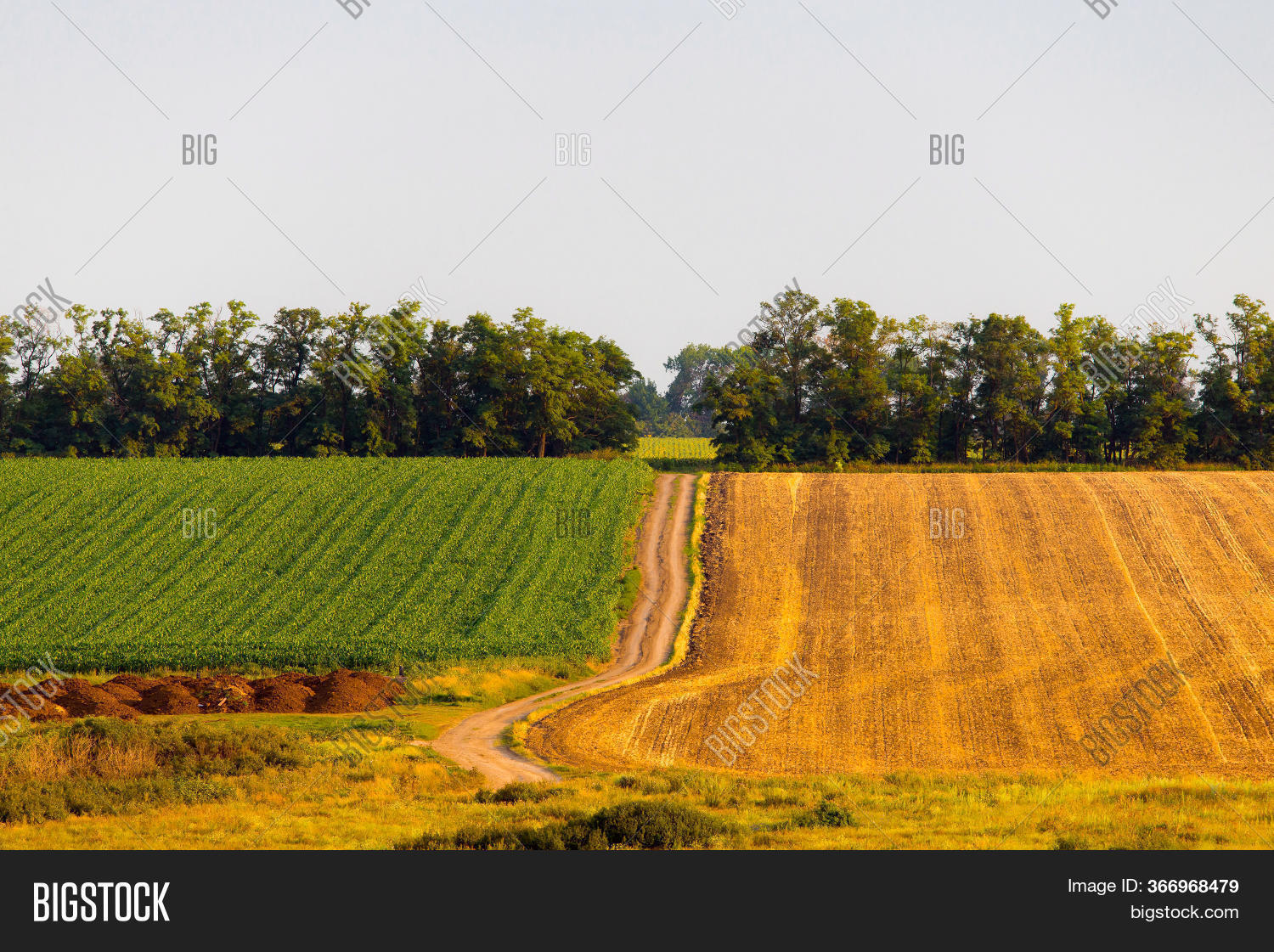 Summer Rural Country Image & Photo (Free Trial) | Bigstock