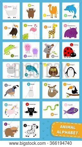 Animal Zoo Abc Vector & Photo (Free Trial) | Bigstock