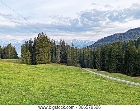 Alpine Pastures Image & Photo (Free Trial) | Bigstock