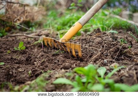 Close Rake Cultivating Image & Photo (Free Trial) | Bigstock