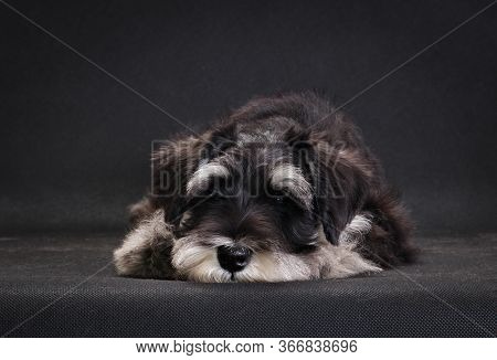 Sad Young Black Gray Image & Photo (Free Trial) | Bigstock
