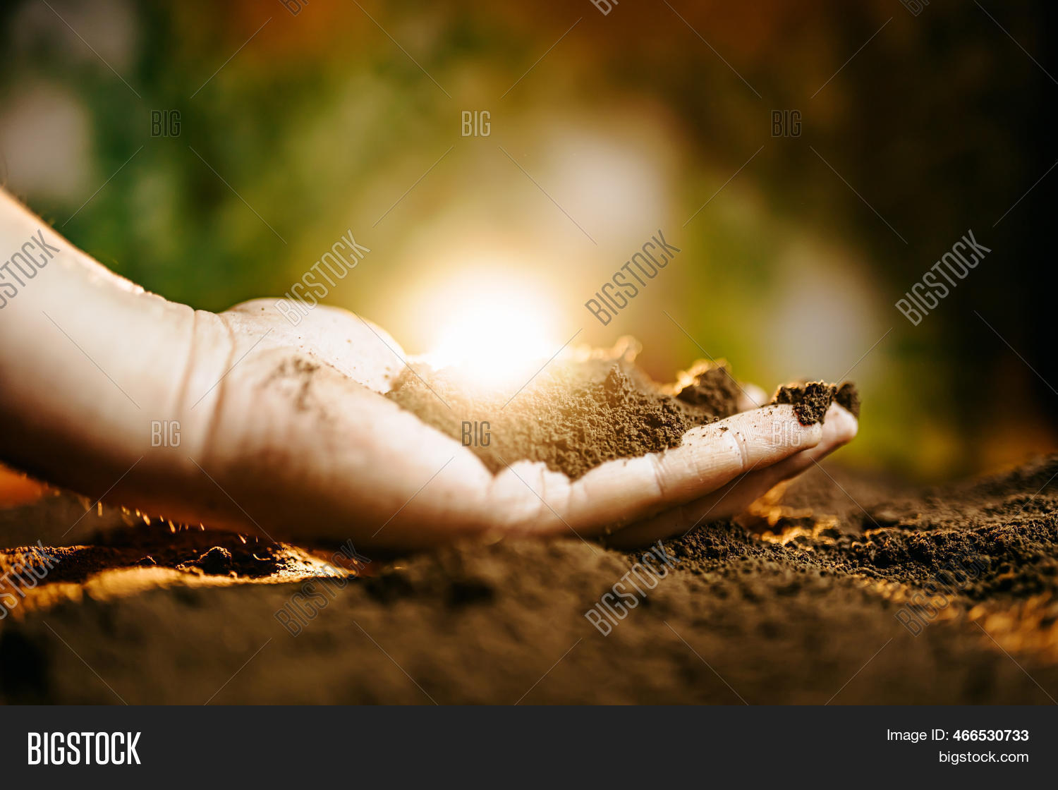 Hands Touching Soil On Image & Photo (Free Trial) | Bigstock