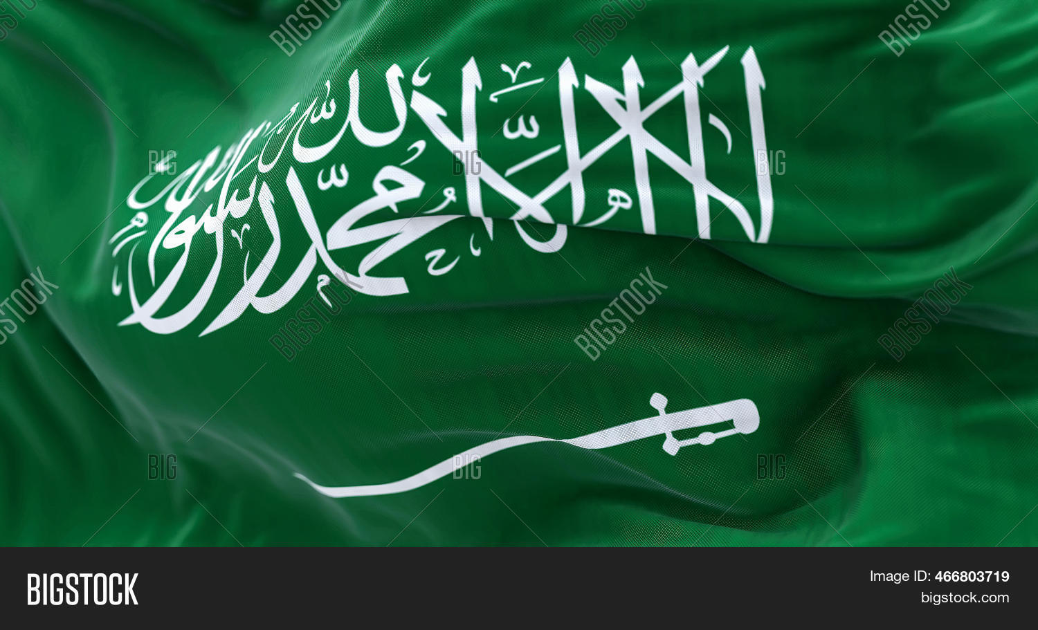 Close- View Saudi Image & Photo (Free Trial) | Bigstock