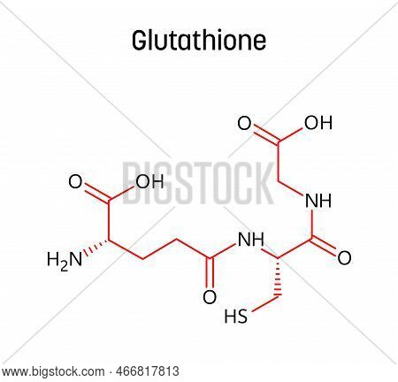 Glutathione Molecular Vector & Photo (Free Trial) | Bigstock