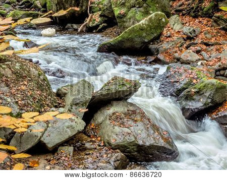 Creek Rocks Flowing Image & Photo (Free Trial) | Bigstock