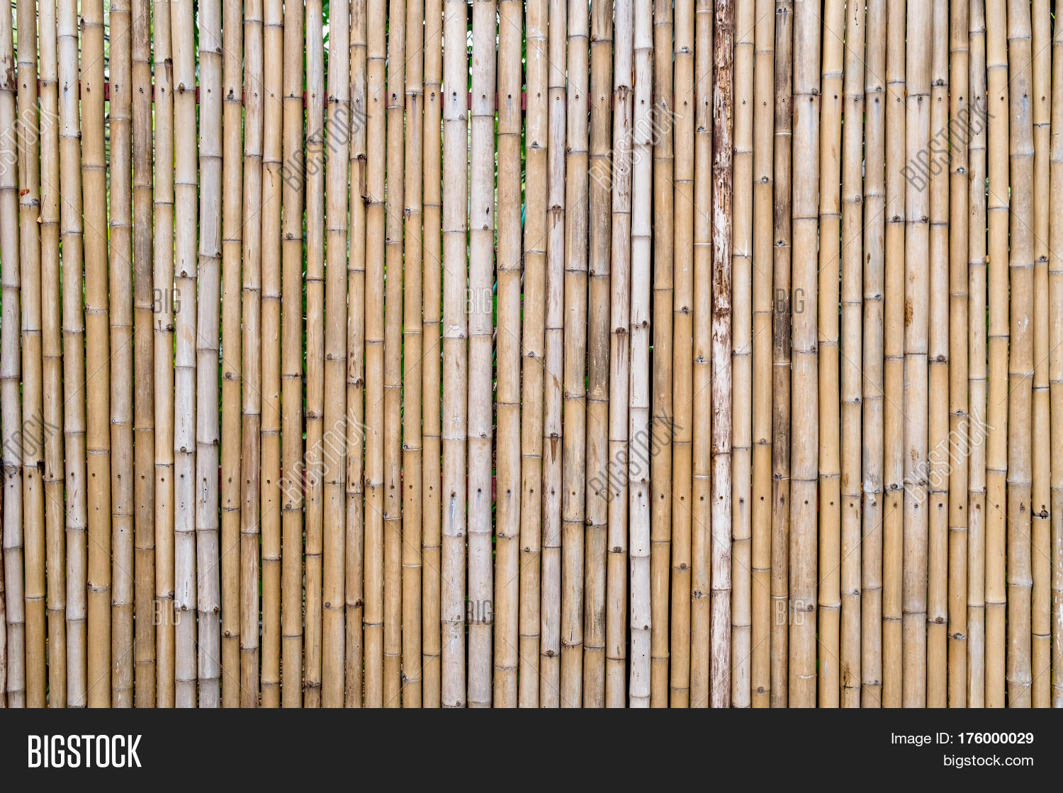 Bamboo Wall Bamboo Image & Photo (Free Trial) | Bigstock