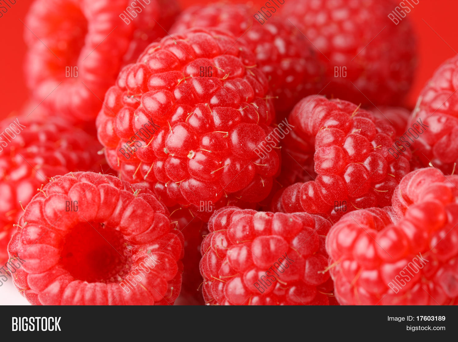 Fresh Raspberries Image & Photo (Free Trial) | Bigstock