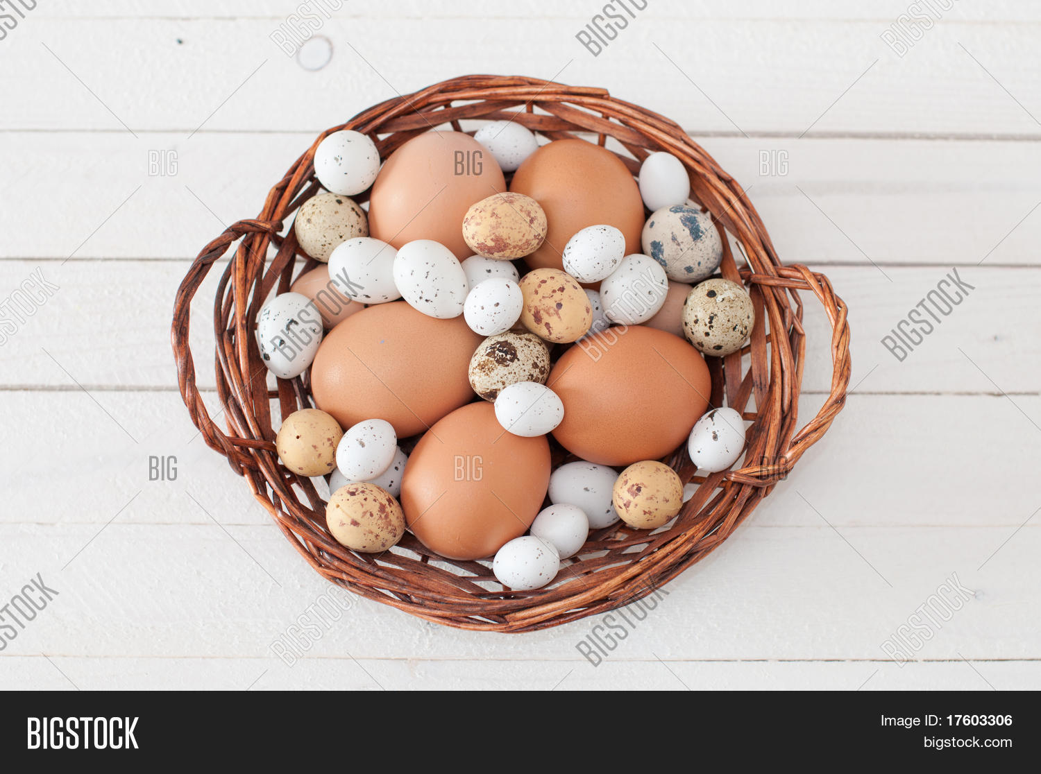 Different Types Eggs Image & Photo (Free Trial) | Bigstock