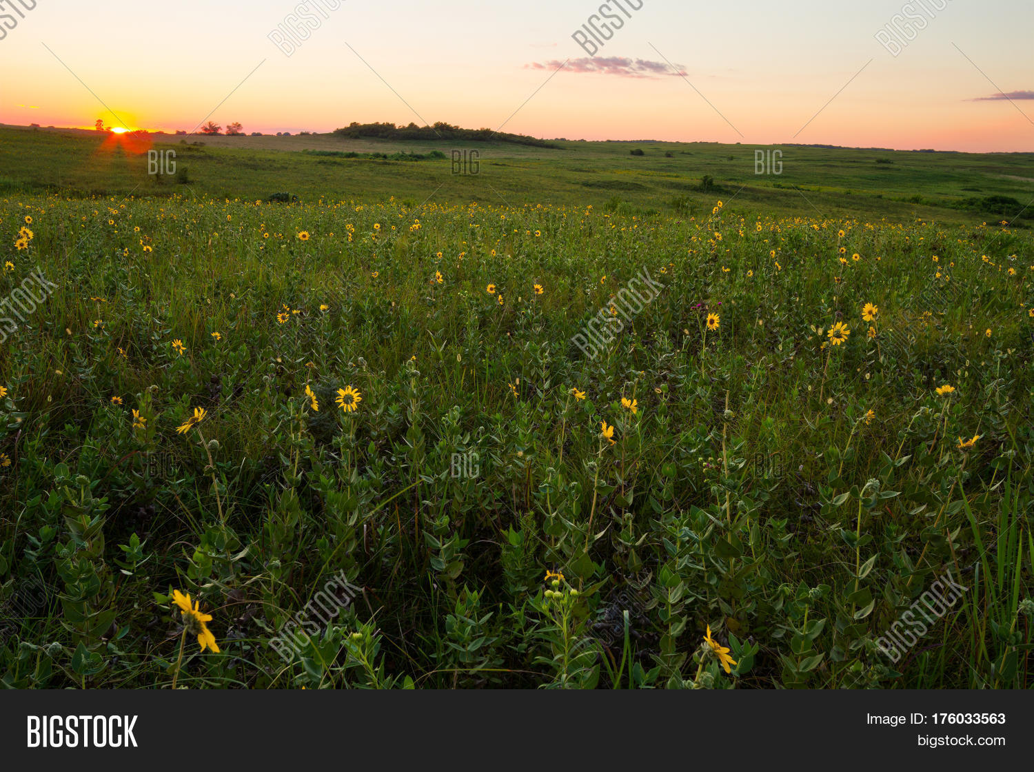 Sunset On Midwest Image & Photo (Free Trial) | Bigstock