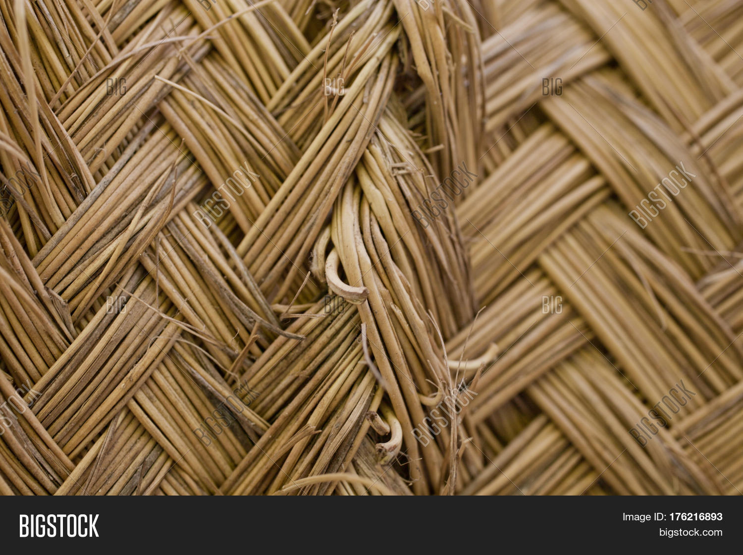 Esparto Grass Texture Image & Photo (Free Trial) | Bigstock