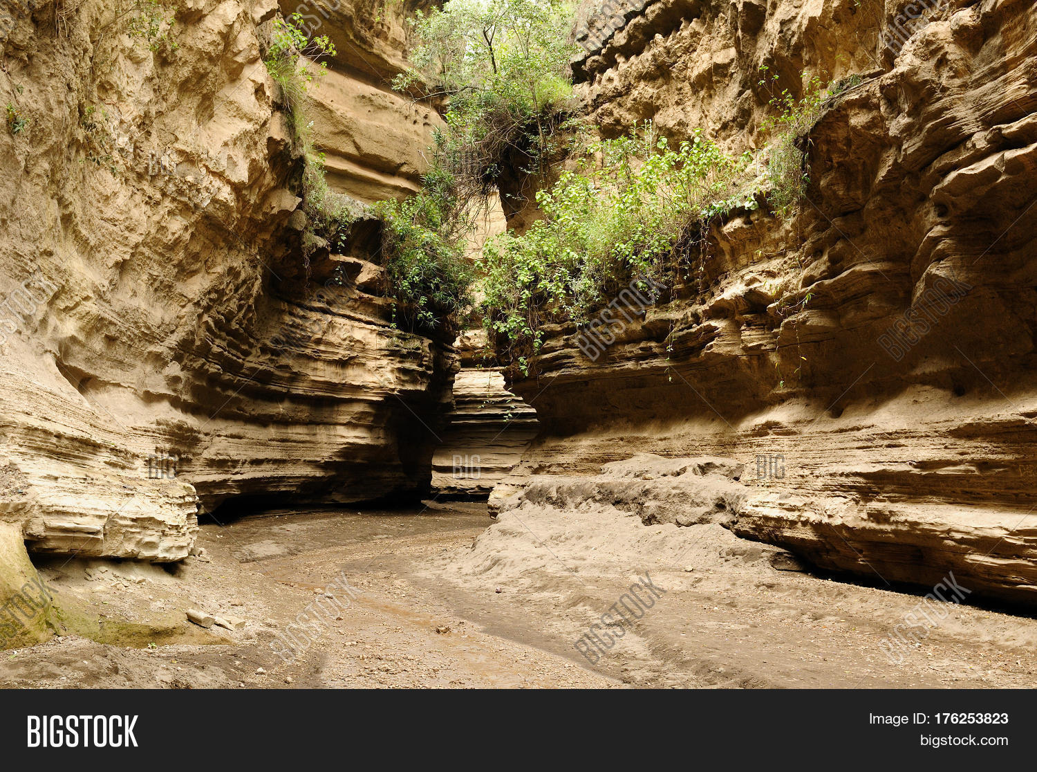 Water-gouged Gorges Image & Photo (Free Trial) | Bigstock