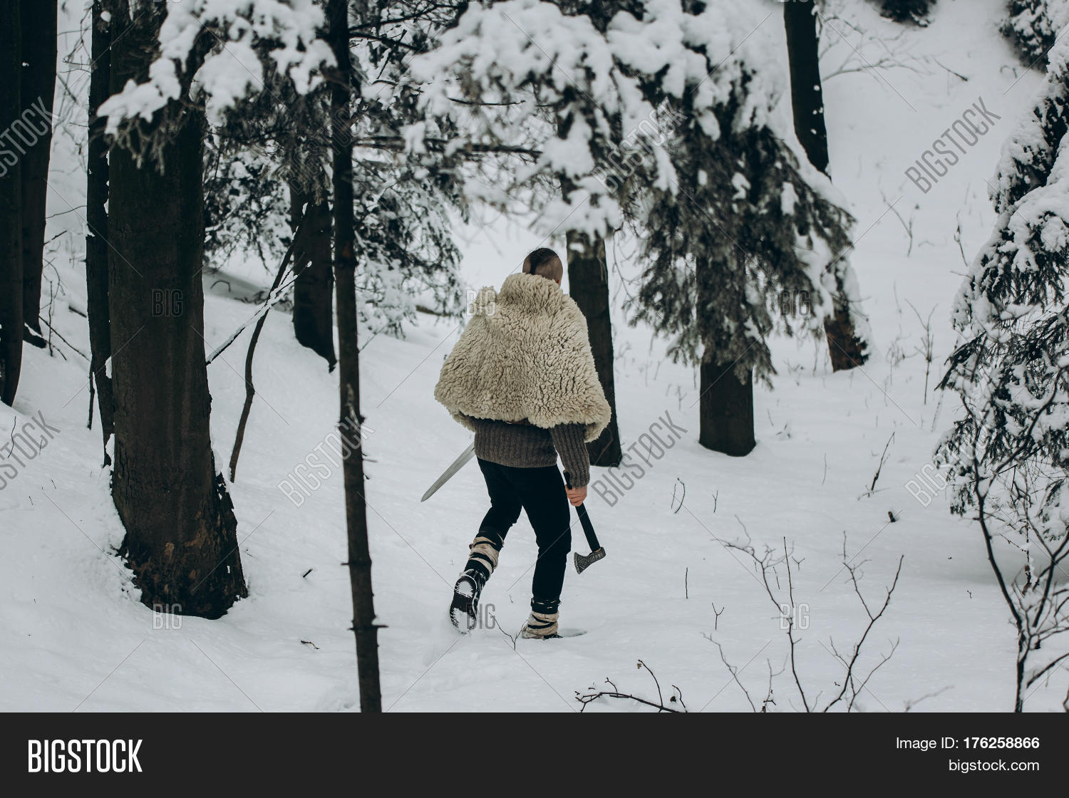Viking Hunter Walking Image & Photo (Free Trial) | Bigstock