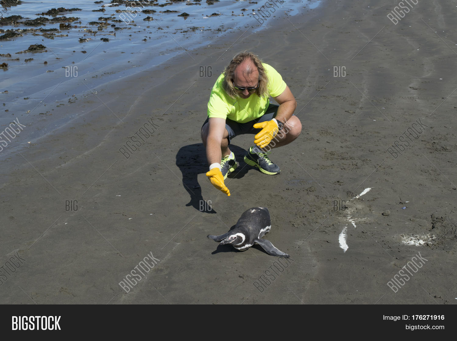 RADA TILLY, ARGENTINA Image & Photo (Free Trial) | Bigstock
