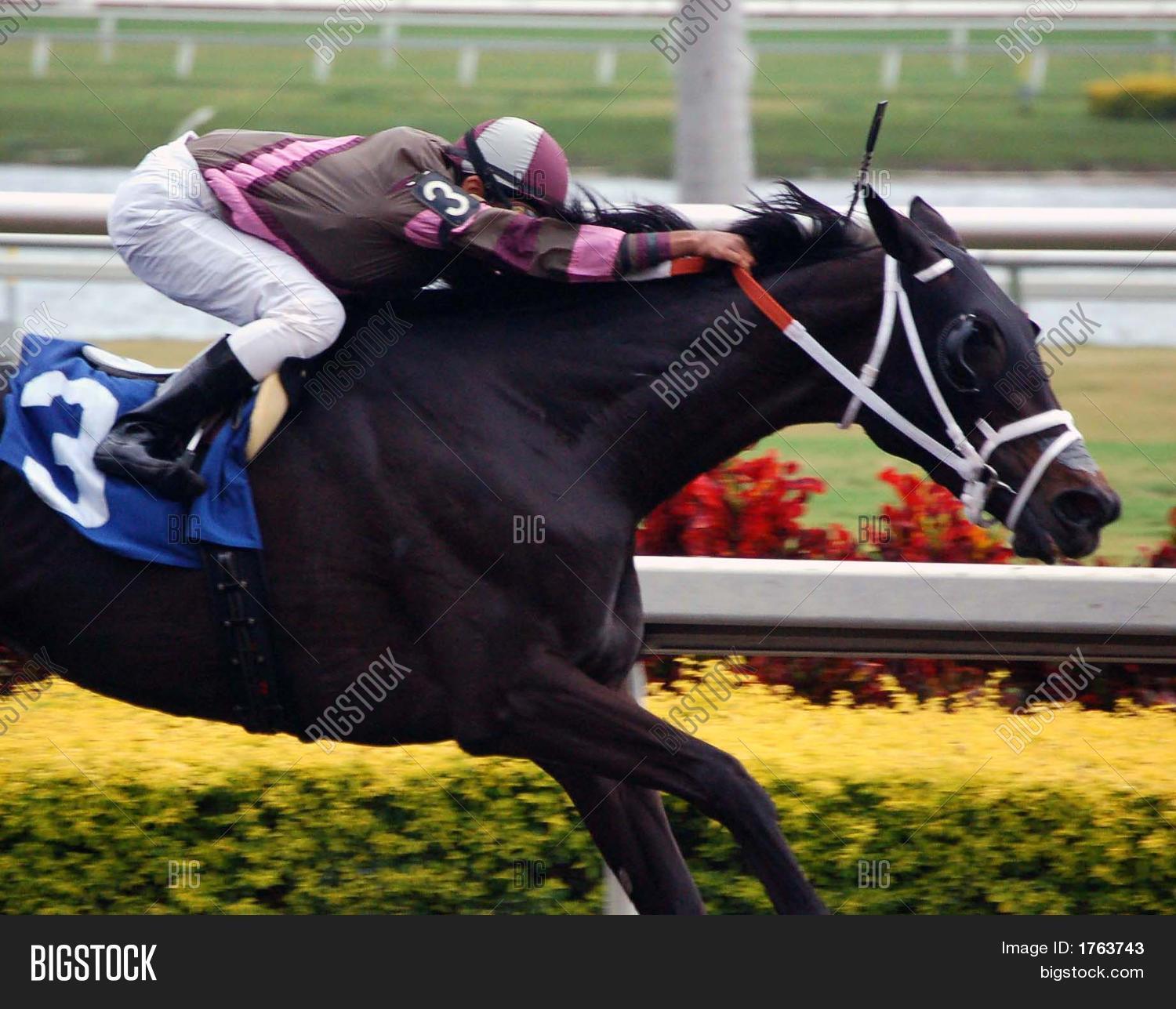 Horse Jockey Image & Photo (Free Trial) | Bigstock