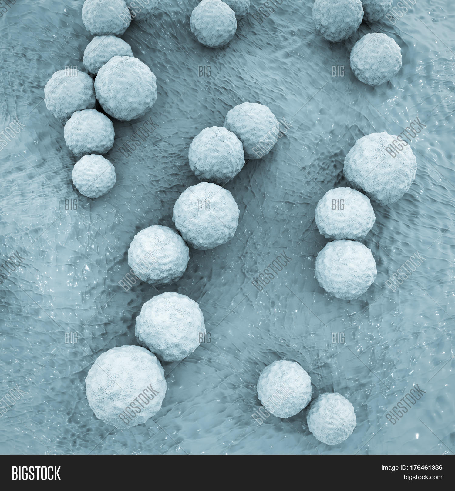 Streptococcus Mutans Image & Photo (Free Trial) | Bigstock