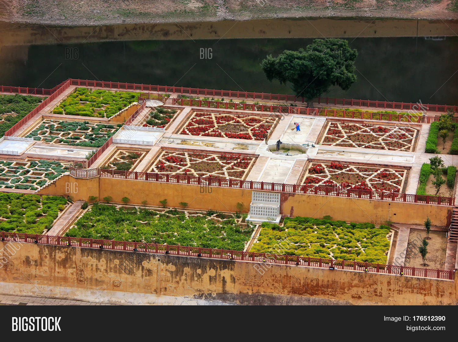 Close View Kesar Kyari Image & Photo (Free Trial) | Bigstock