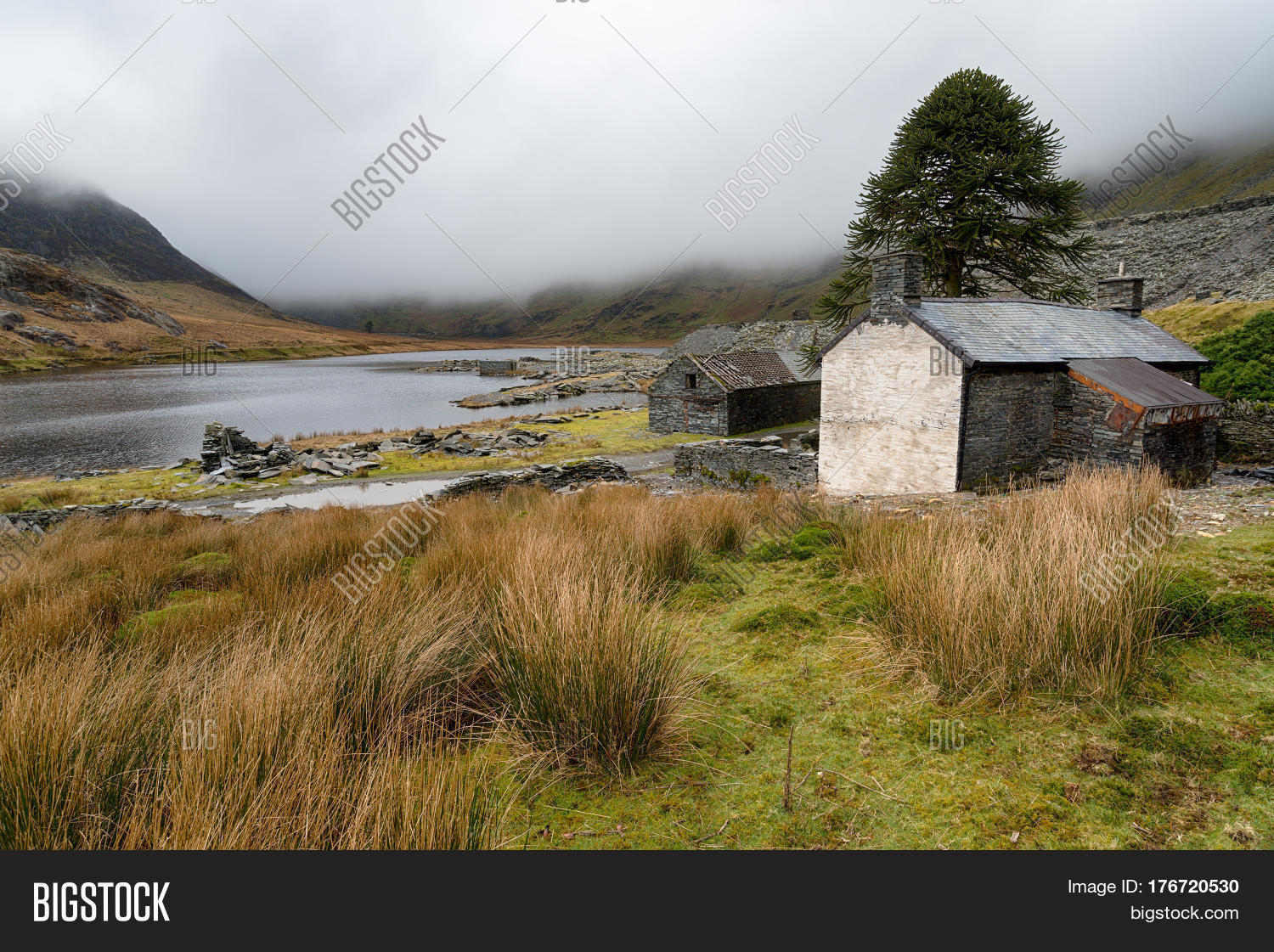 Abandoned Cottages Image & Photo (Free Trial) | Bigstock