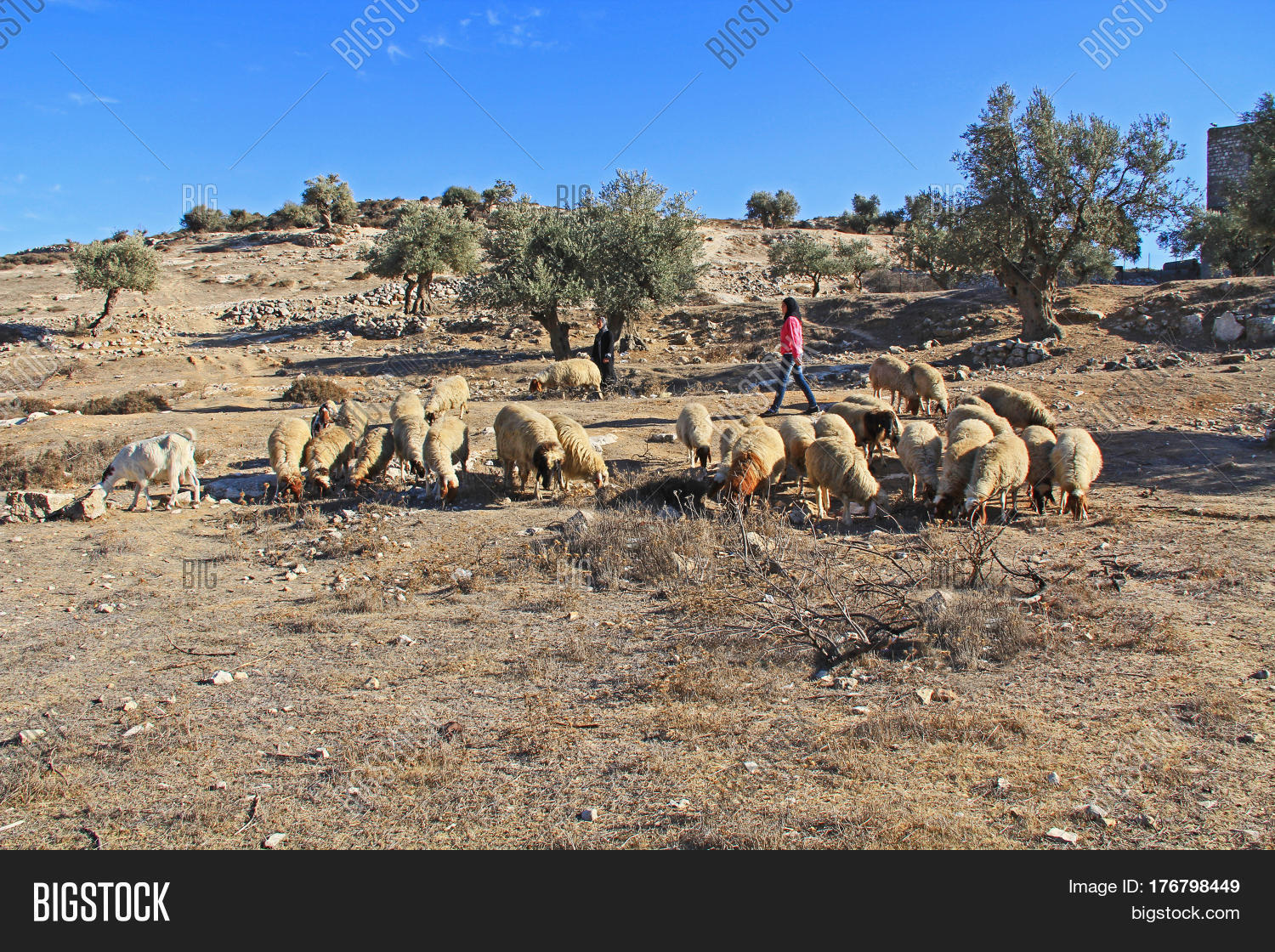 JERUSALEM, ISRAEL - Image & Photo (Free Trial) | Bigstock