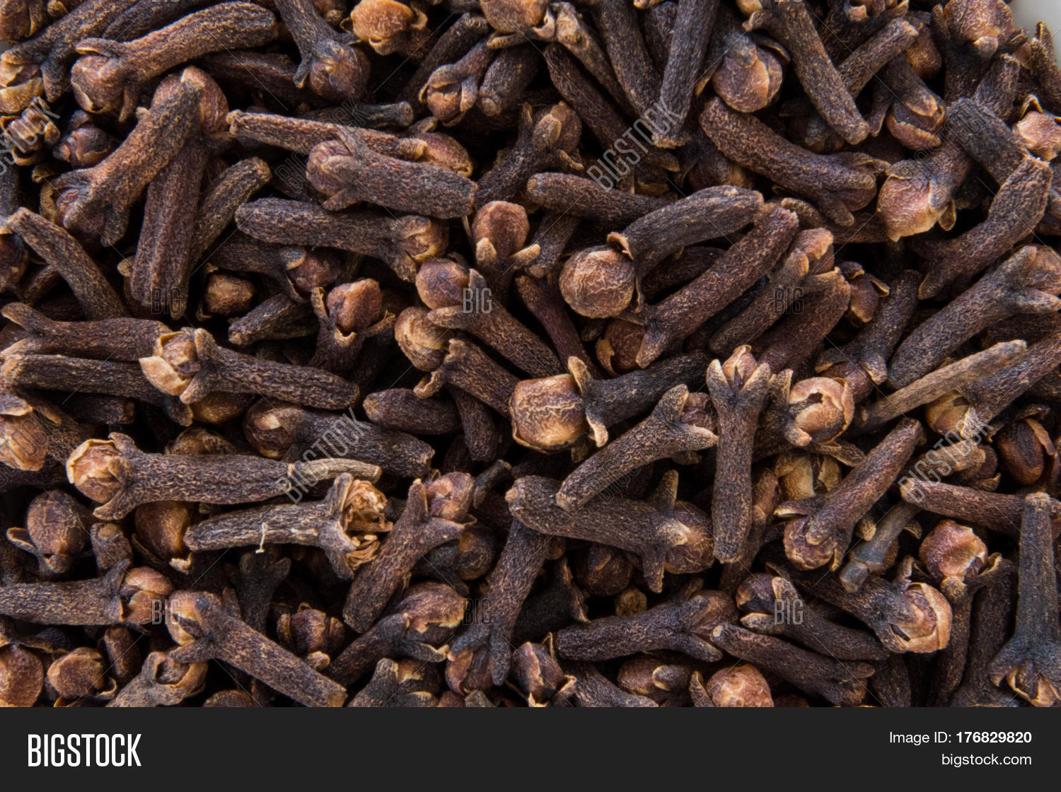 Whole Cloves Cover Image & Photo (Free Trial) | Bigstock