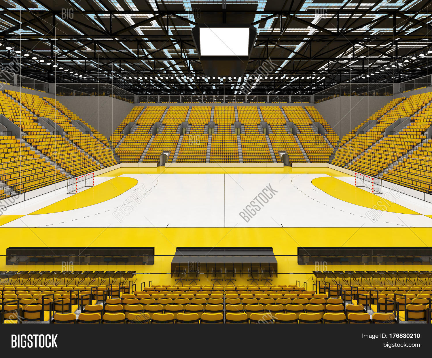 Beautiful Sports Arena Image & Photo (Free Trial) | Bigstock