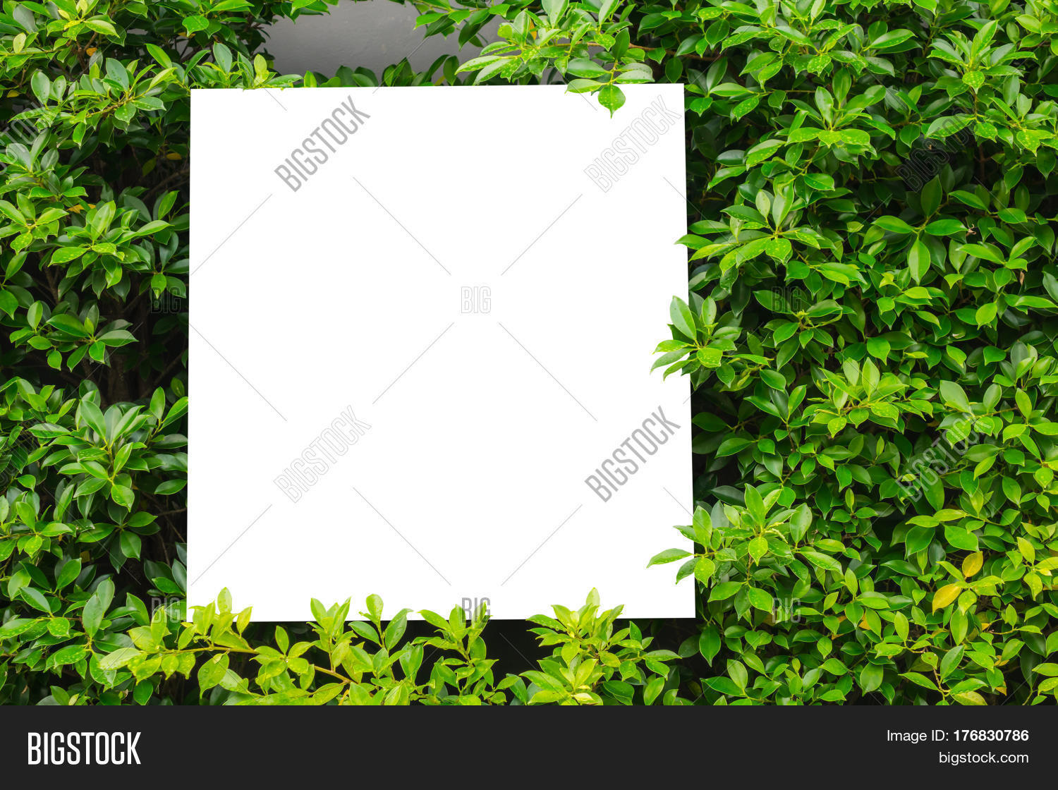 Small White Board Image & Photo (Free Trial) | Bigstock