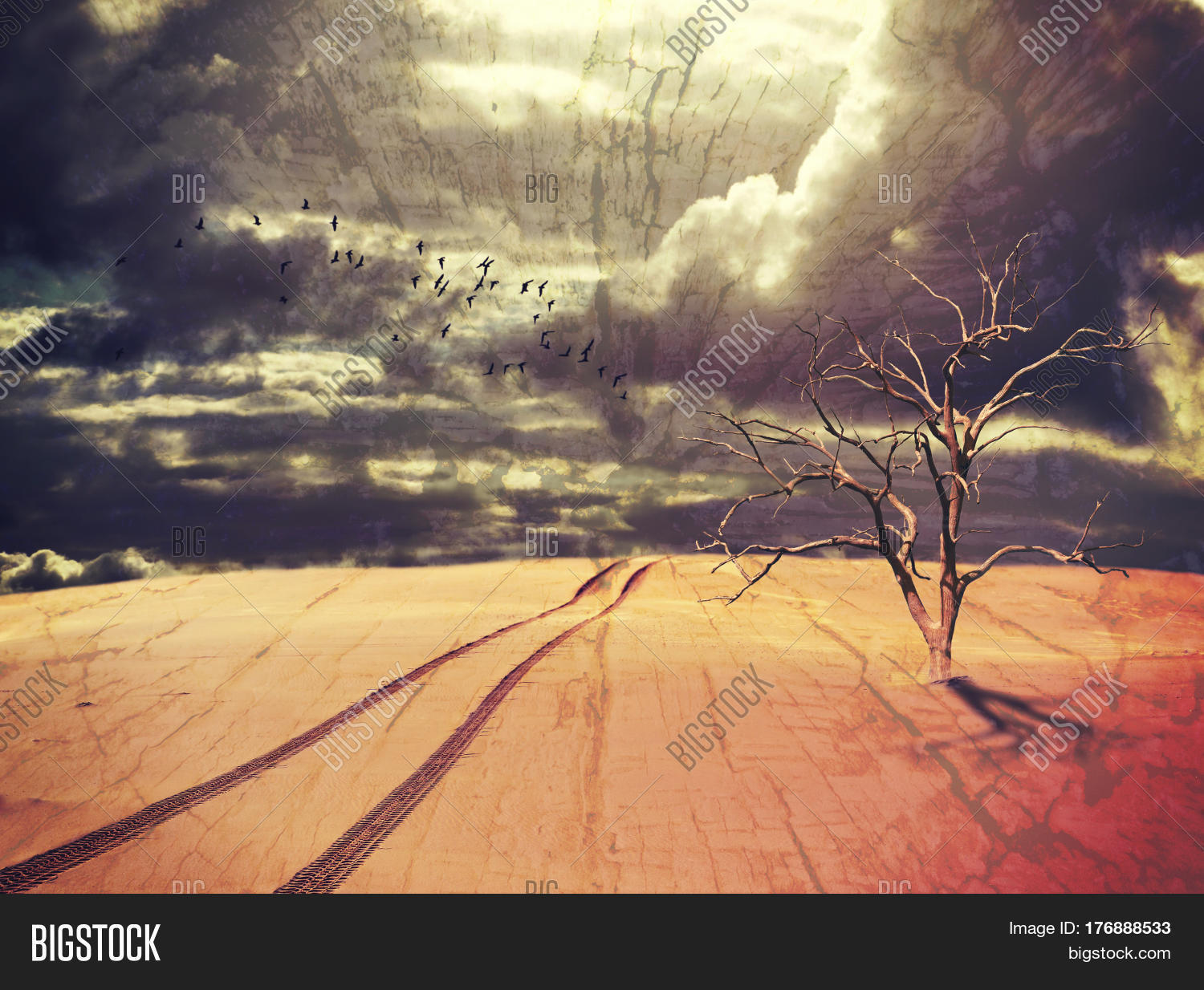 Surreal Desert Image & Photo (Free Trial) | Bigstock