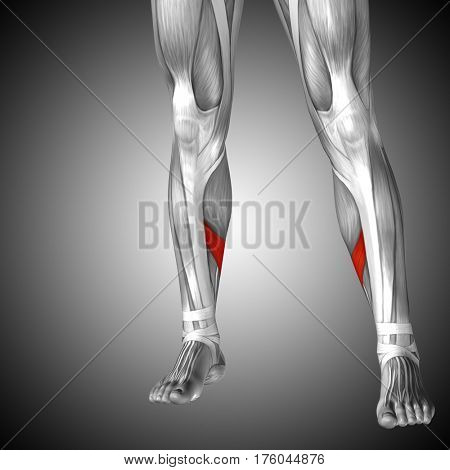 Concept Conceptual 3D Image & Photo (Free Trial) | Bigstock