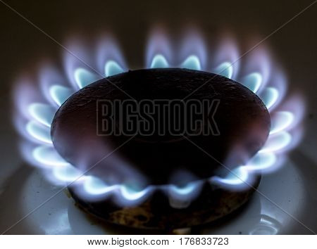 Blue Flame Natural Gas Image & Photo (Free Trial) | Bigstock