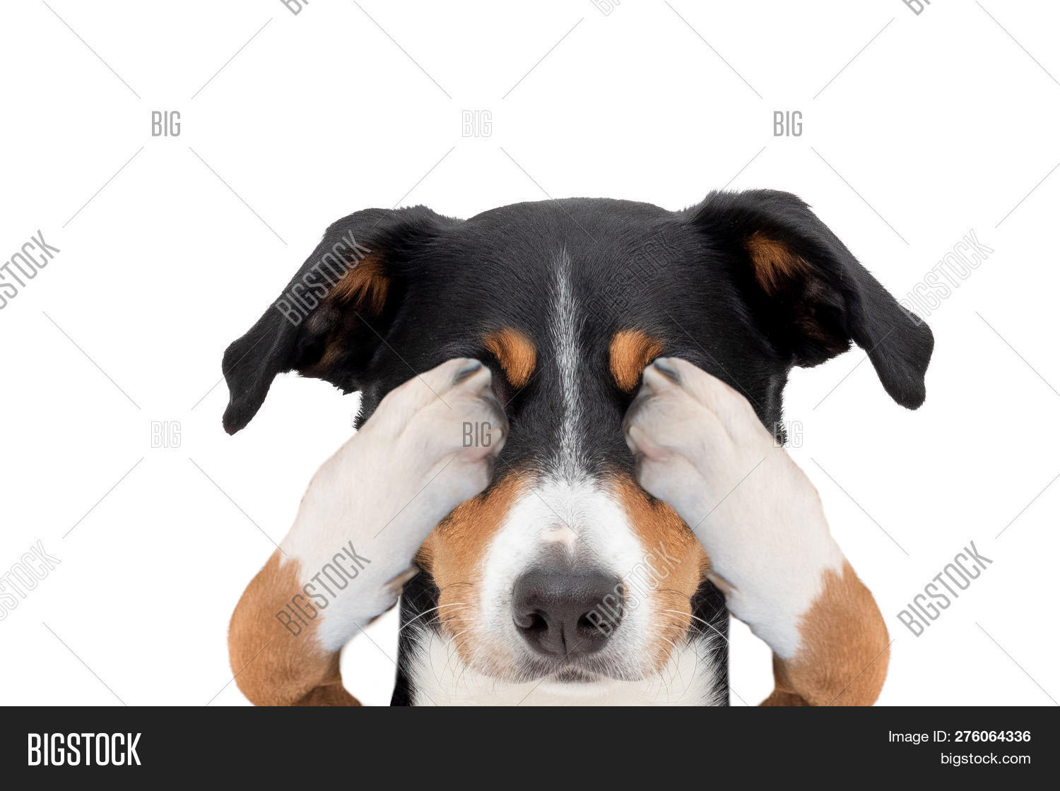 Hiding Covering Both Image & Photo (Free Trial) | Bigstock