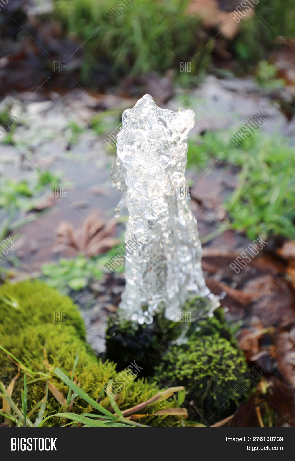 Fresh Gushing Water Image & Photo (Free Trial) | Bigstock