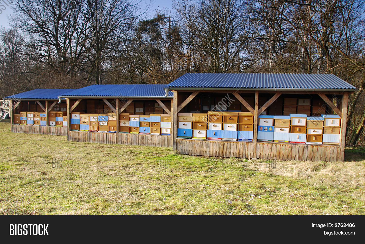Bee Houses Image & Photo (Free Trial) | Bigstock