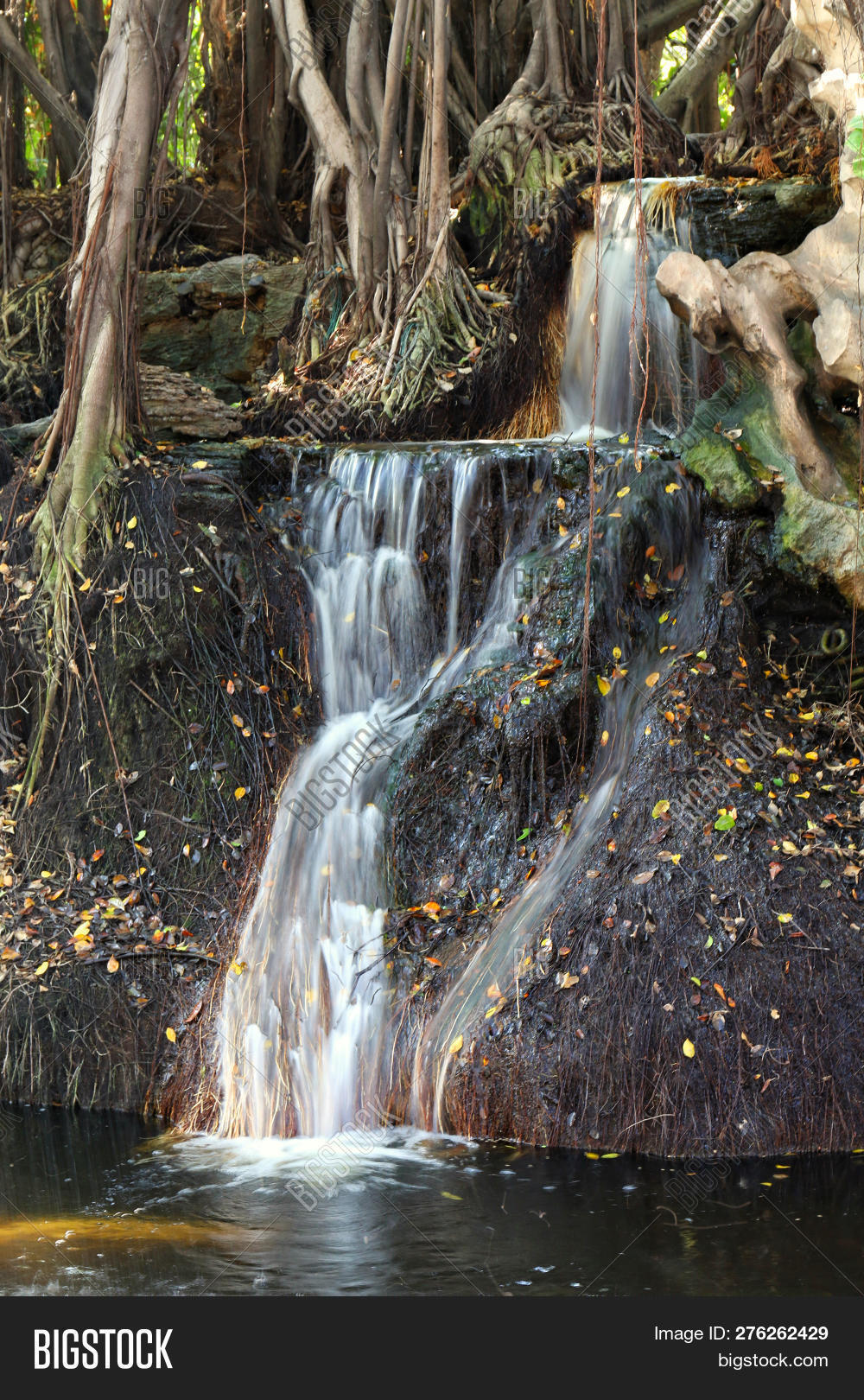 Waterfalls Park, Park Image & Photo (Free Trial) | Bigstock