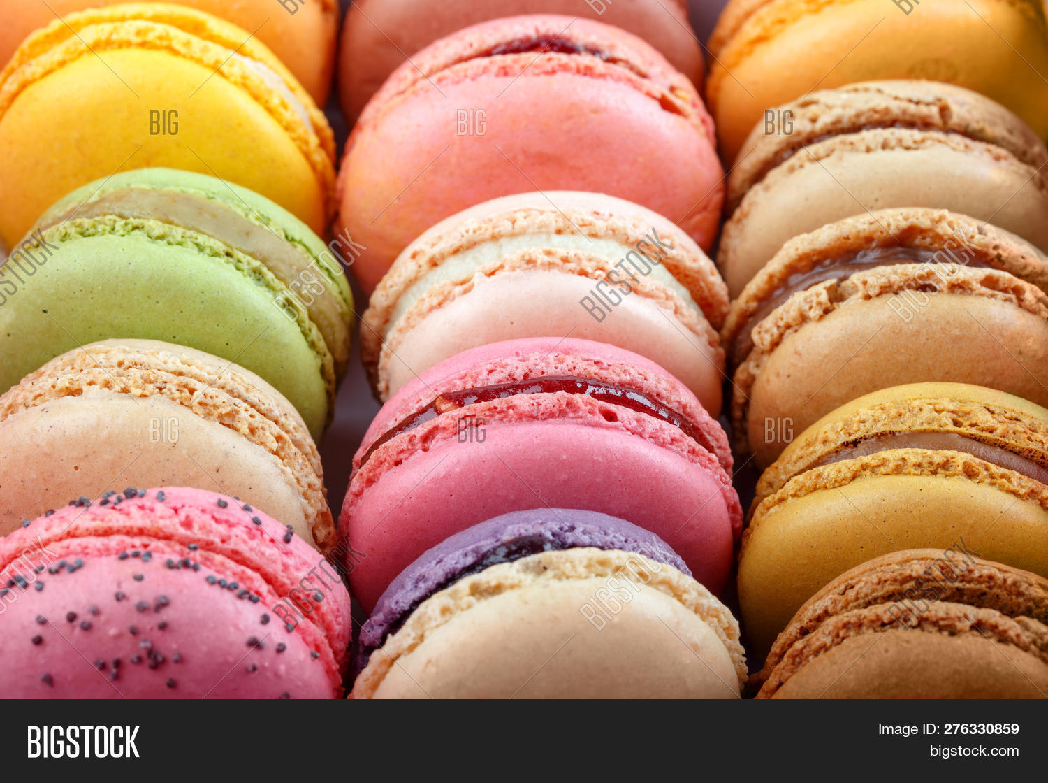 Set Different Multi- Image & Photo (Free Trial) | Bigstock