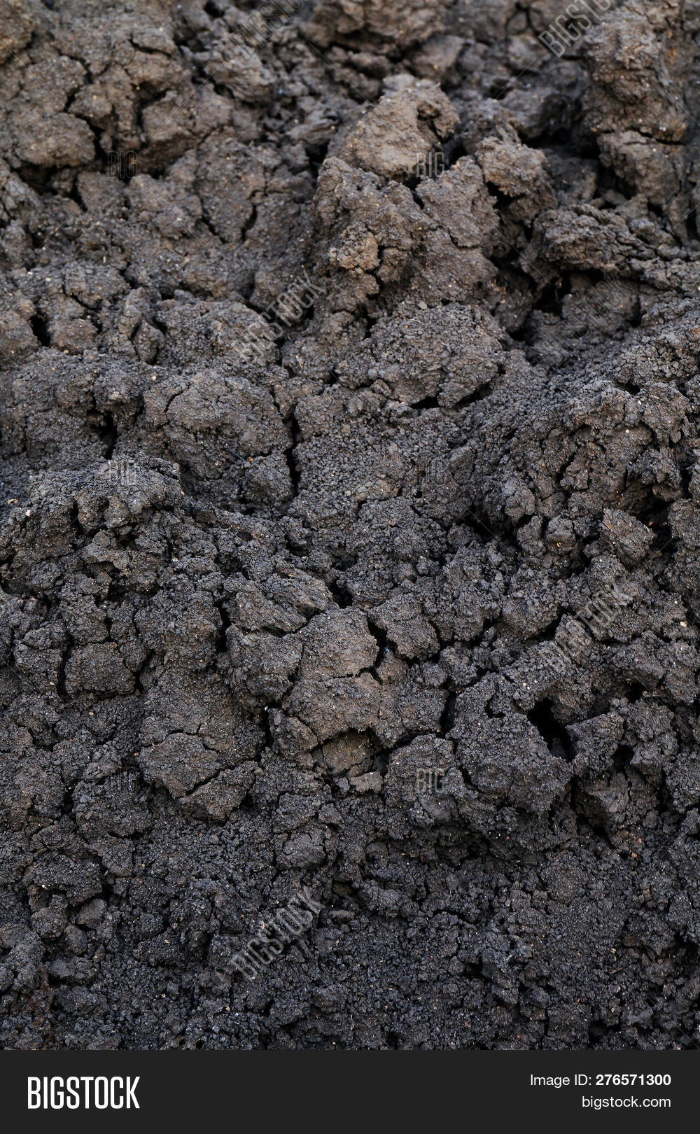 Background Soil Humus Image & Photo (Free Trial) | Bigstock