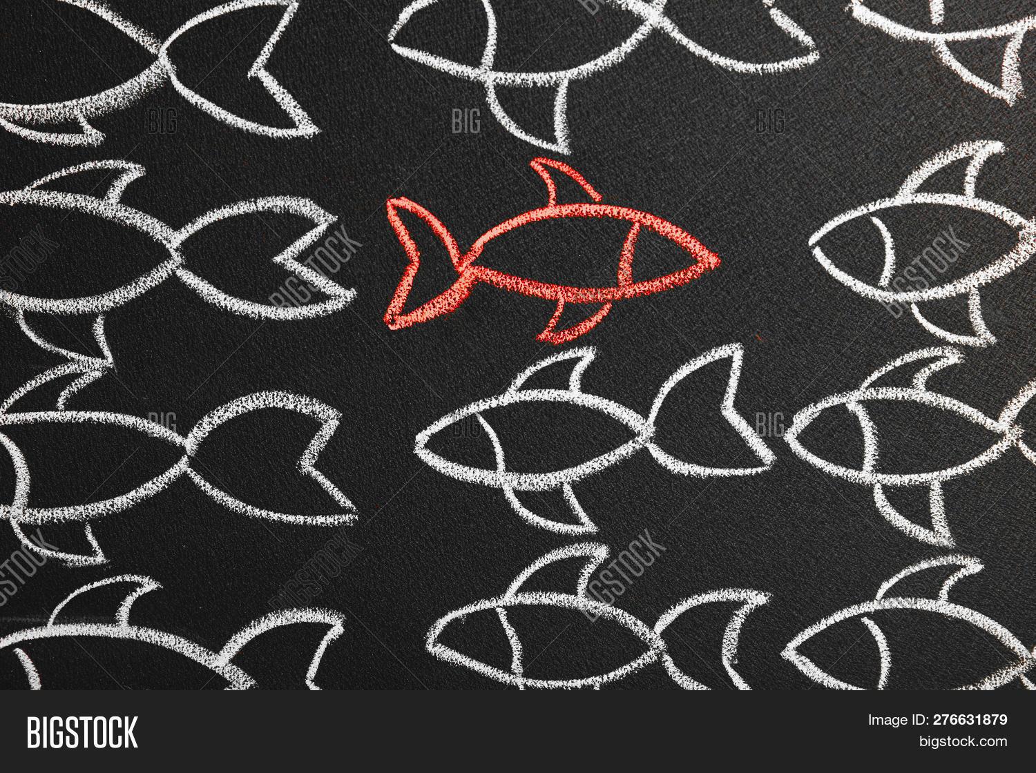 Chalk Drawn Fish Stock Image & Photo (Free Trial) | Bigstock