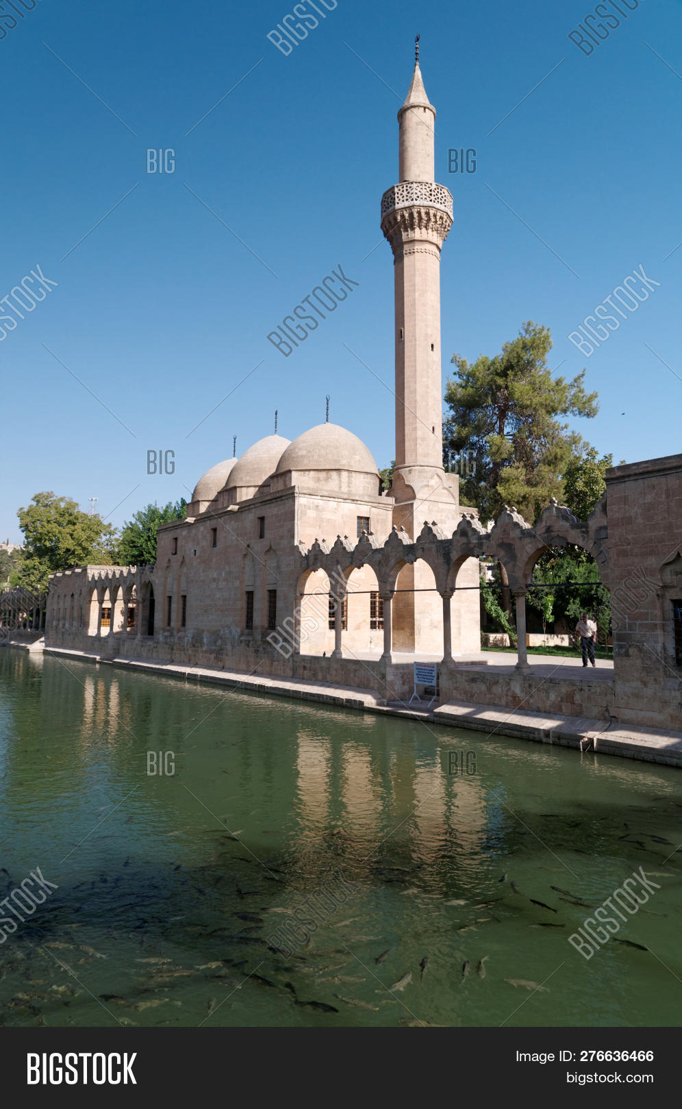 URFA, TURKEY - AUGUST Image & Photo (Free Trial) | Bigstock