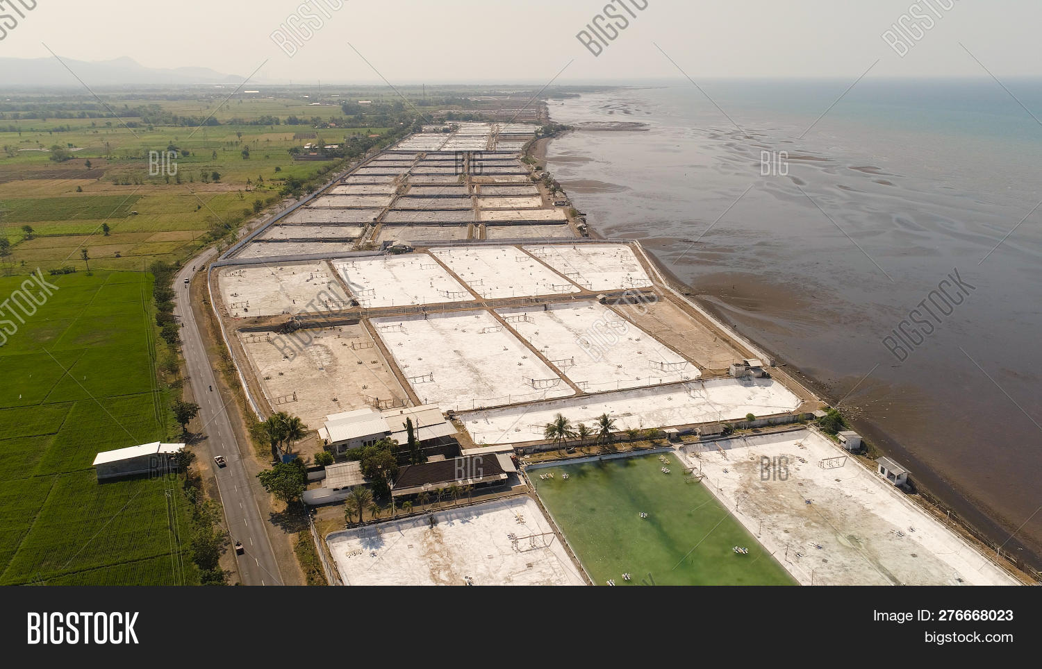 Shrimp Farm, Prawn Image & Photo (Free Trial) | Bigstock