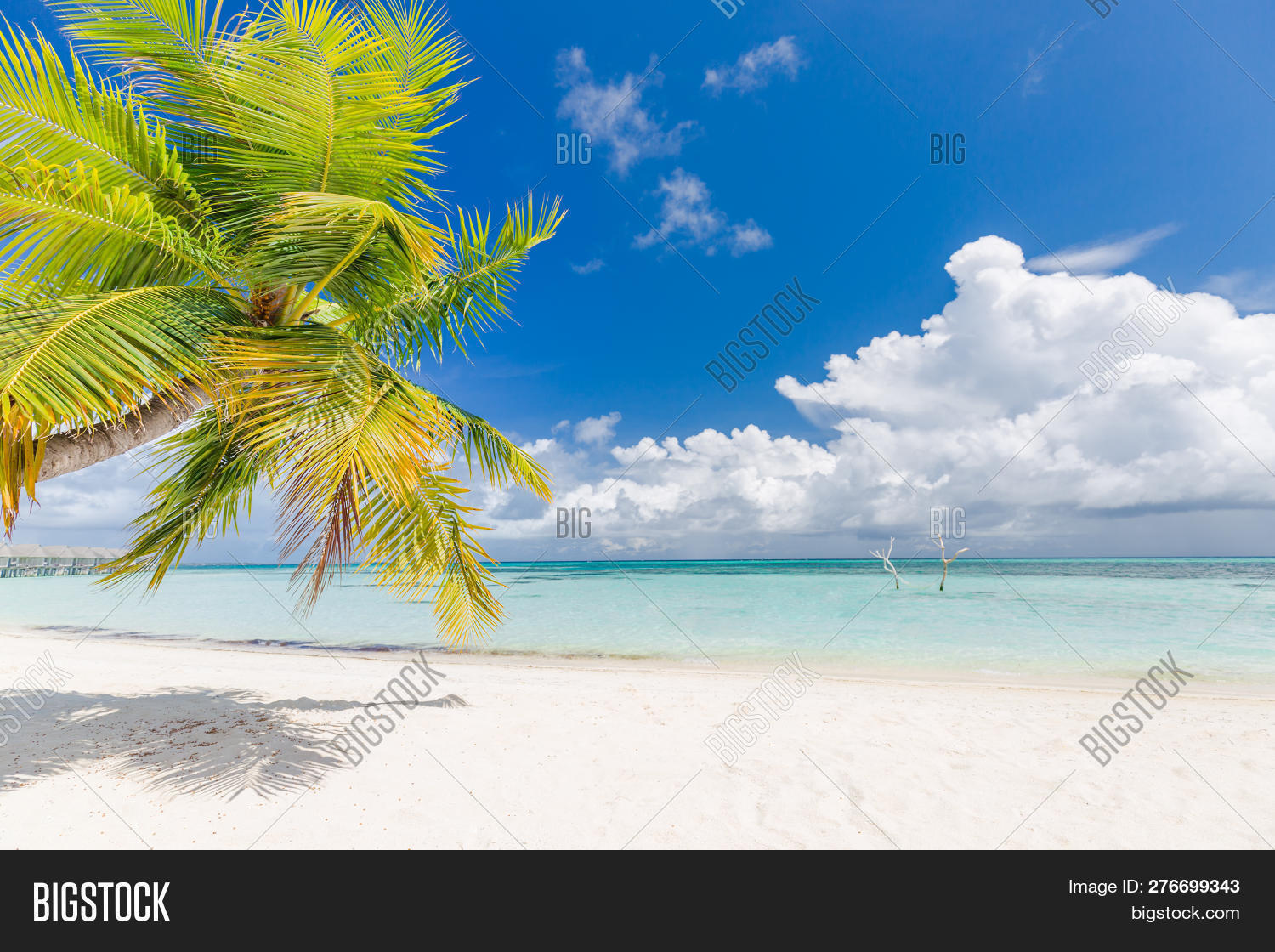 Tropical Beach Image & Photo (Free Trial) | Bigstock