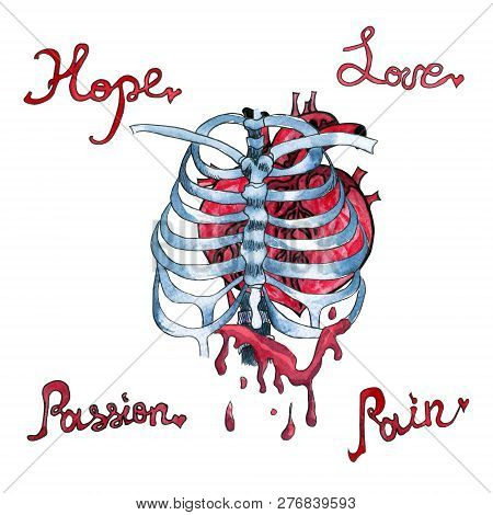 Watercolor Bleeding Image & Photo (Free Trial) | Bigstock