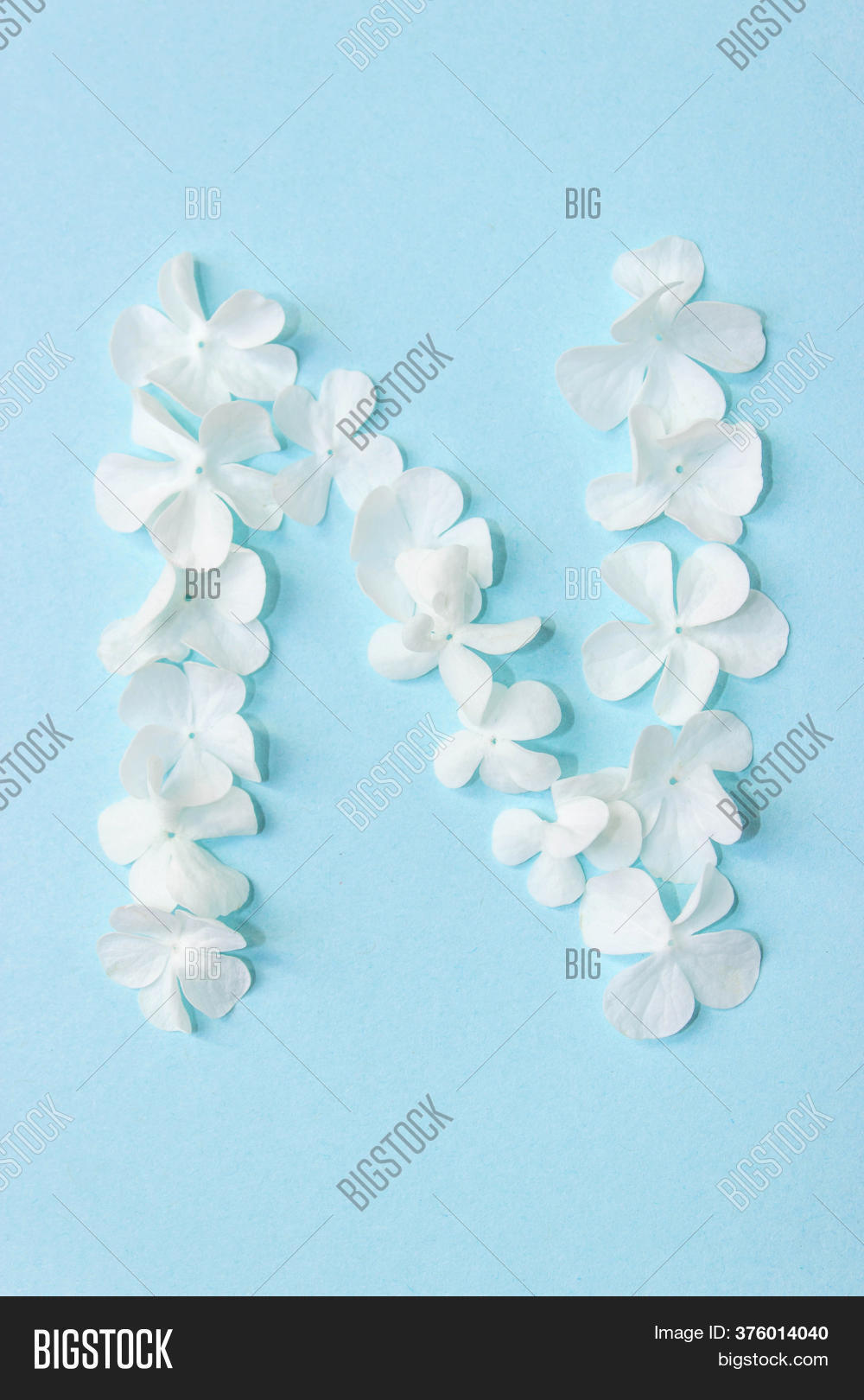 Flower Alphabet - N. Image & Photo (Free Trial) | Bigstock