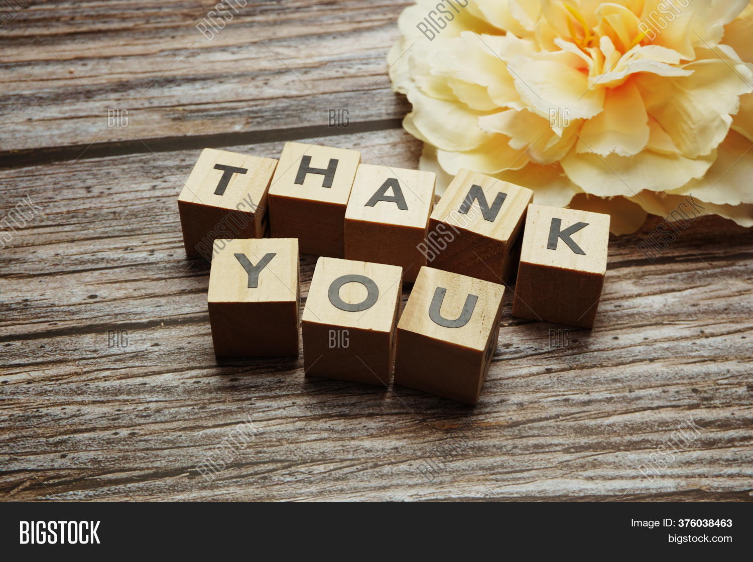 Thank You Alphabet Image & Photo (Free Trial) | Bigstock