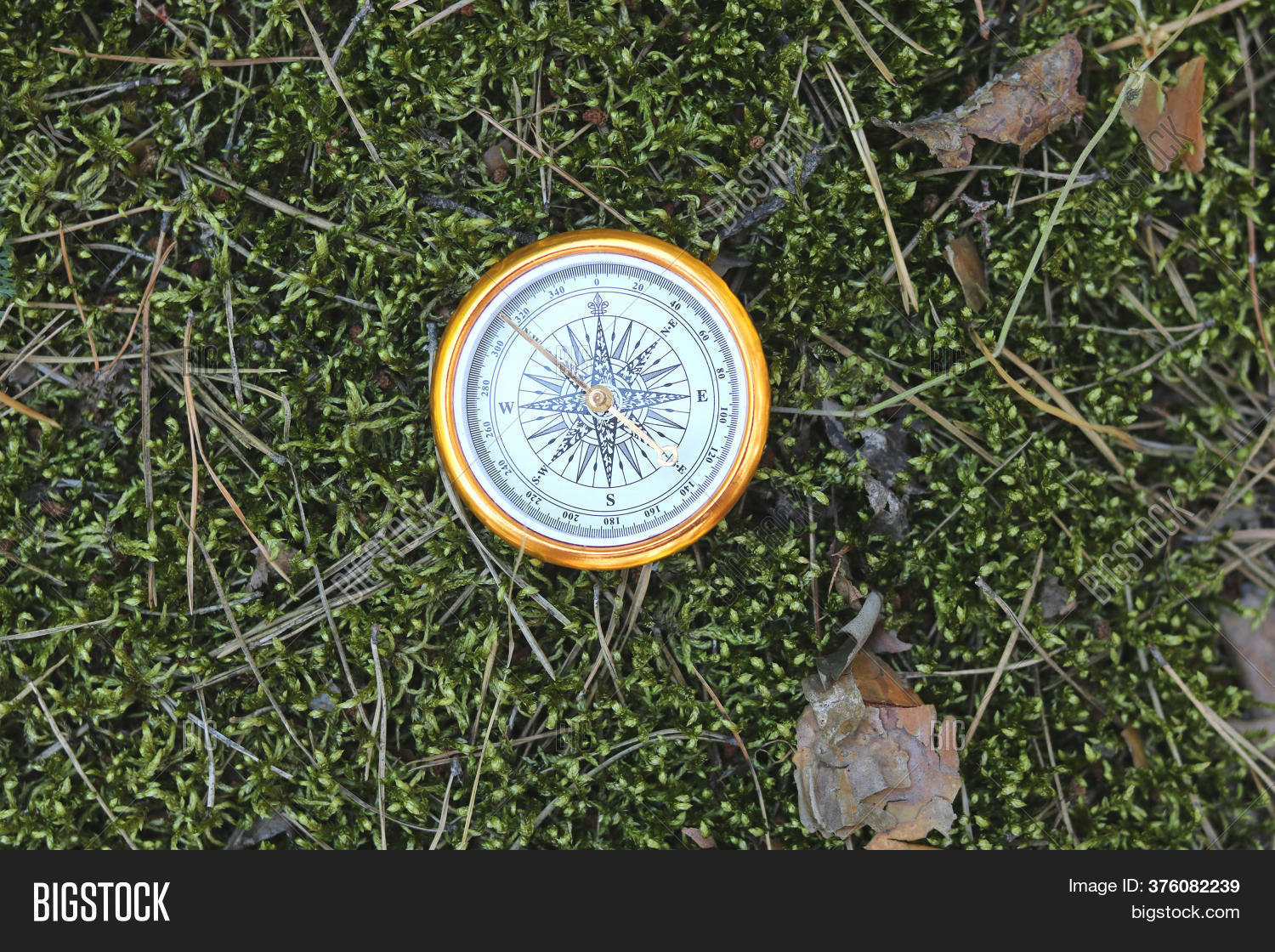 Round Compass On Image And Photo Free Trial Bigstock
