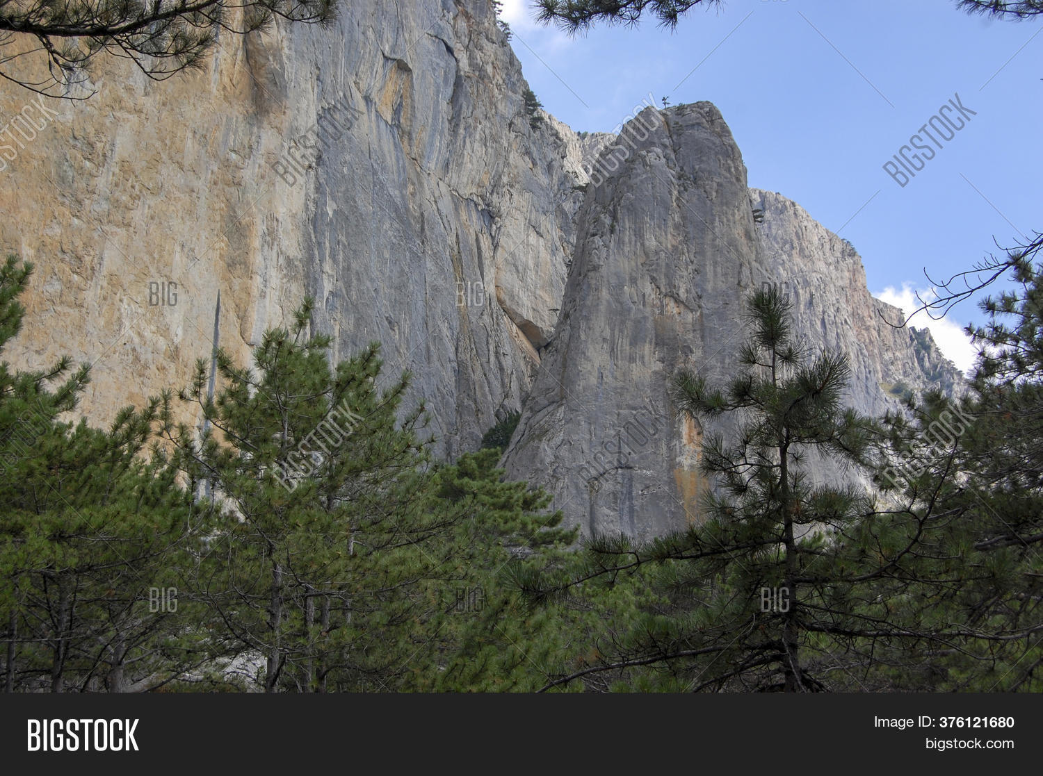 Sheer Cliffs Pine Image & Photo (Free Trial) | Bigstock