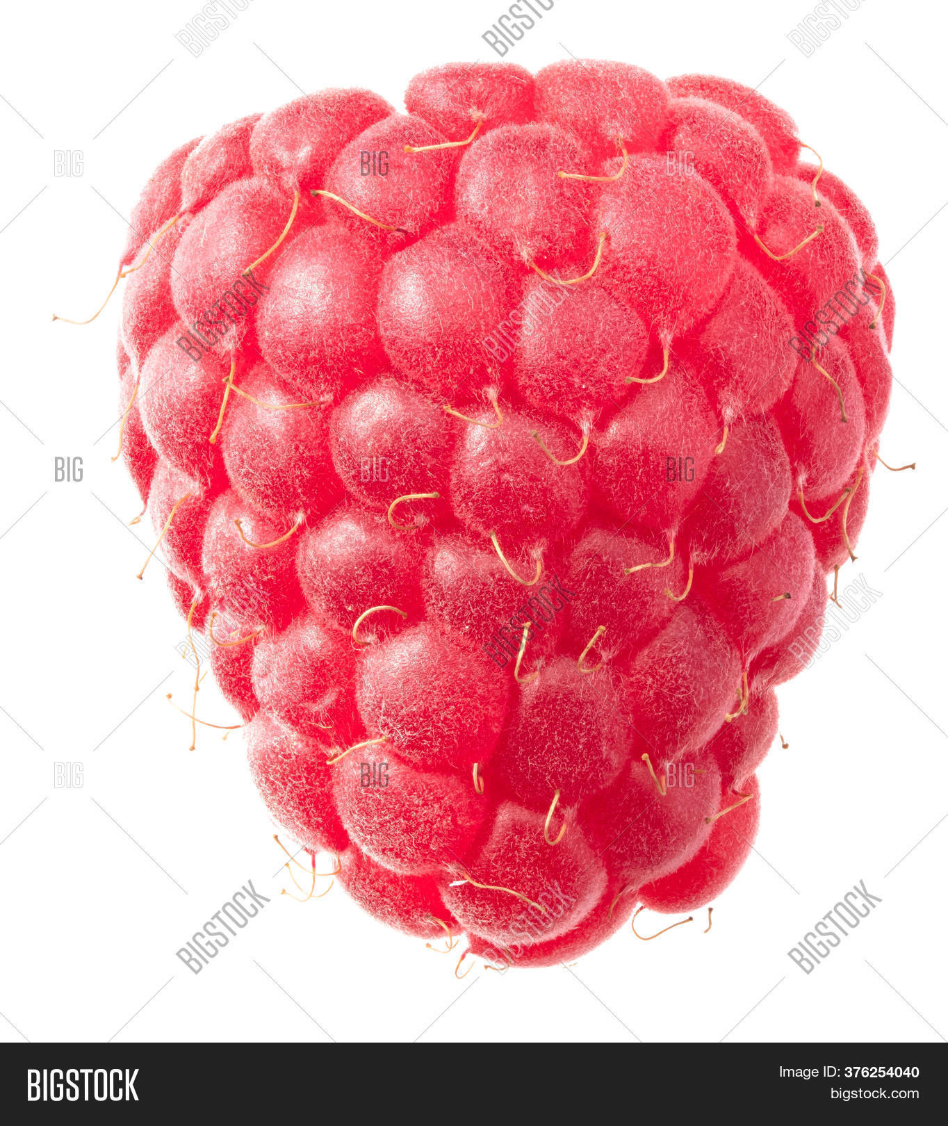 One Ripe Raspberry Image & Photo (Free Trial) | Bigstock